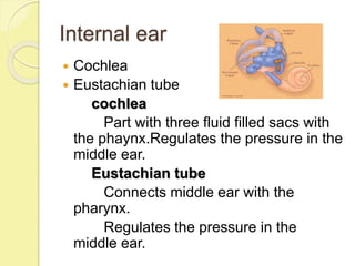 Saranyaspowerpoint | PPTX