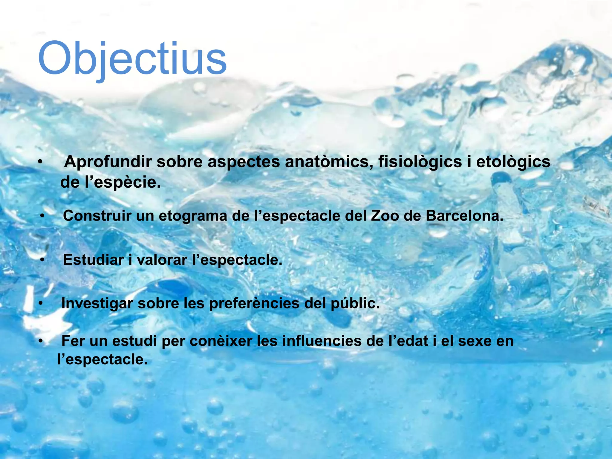 Sara Parra Sanchez | PPTX