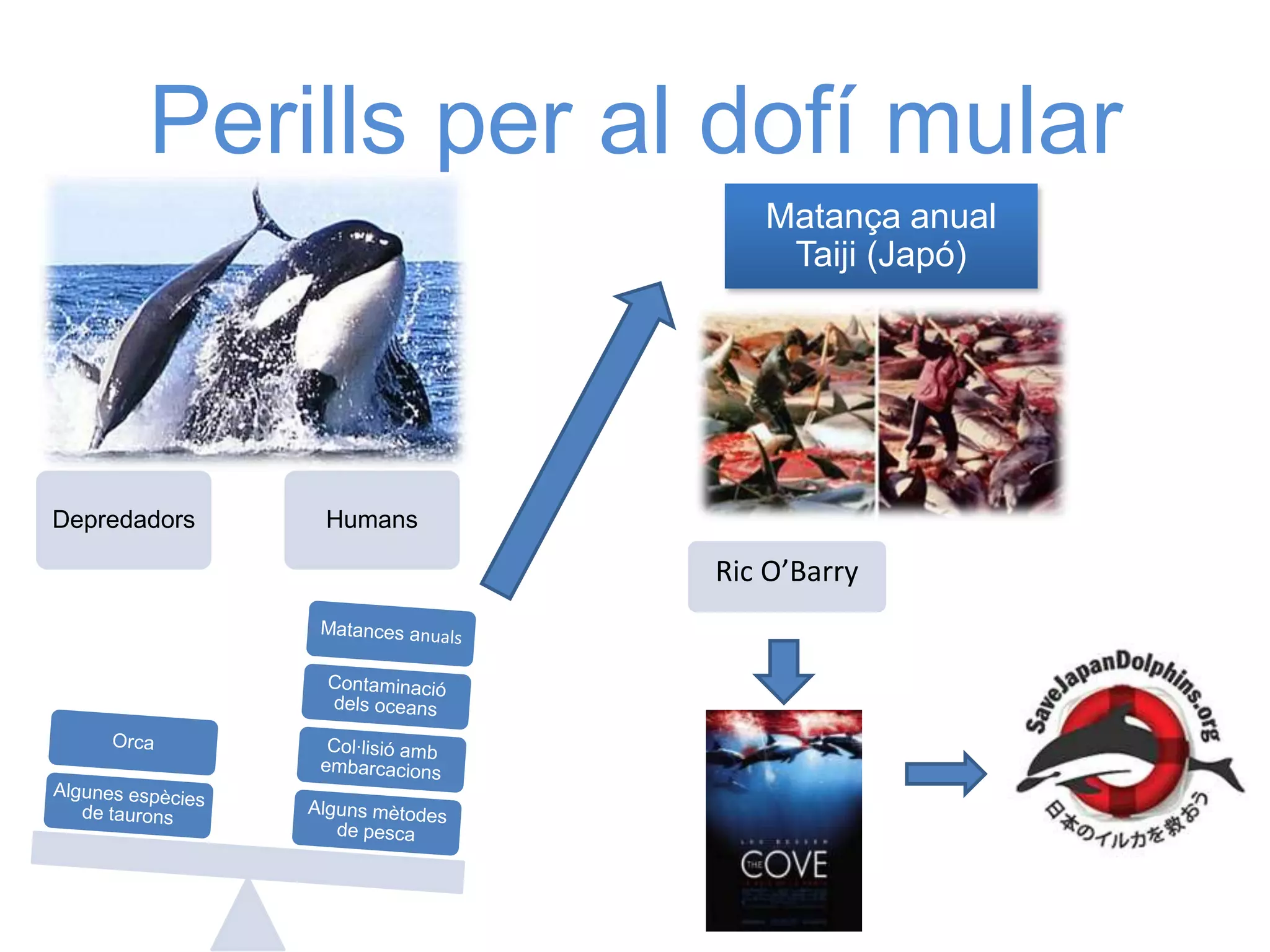 Sara Parra Sanchez | PPTX