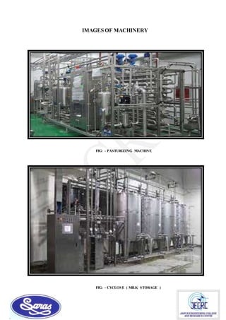 Saras dairy report | DOCX
