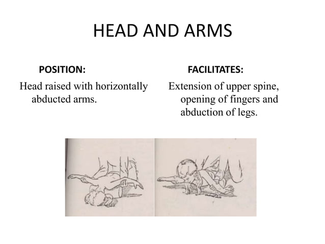 Key points of control illustrations by examples | PPTX