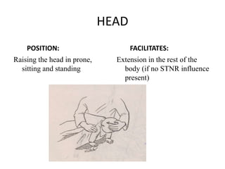 Key points of control illustrations by examples | PPTX