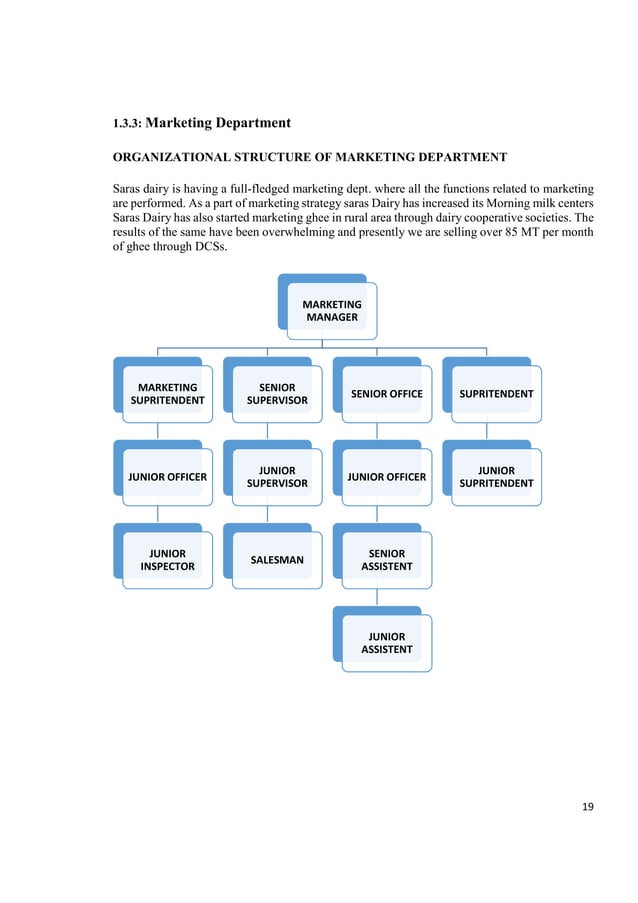 Saras jaipur dairy projects report