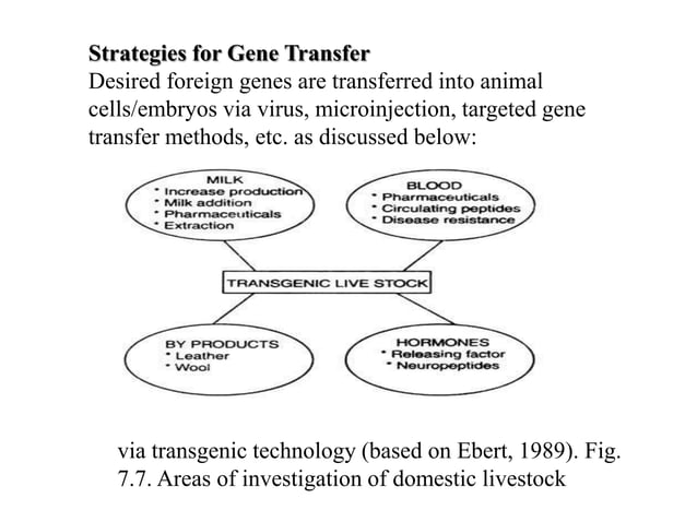 presentation on transgenic animals | PPT