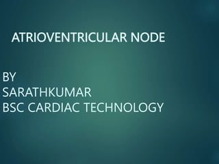 Atrioventricular node by sarathkumar bsx | PPT