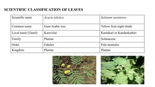 Removal of heavy metals from tannery effluent using Acacia nilotica and ...