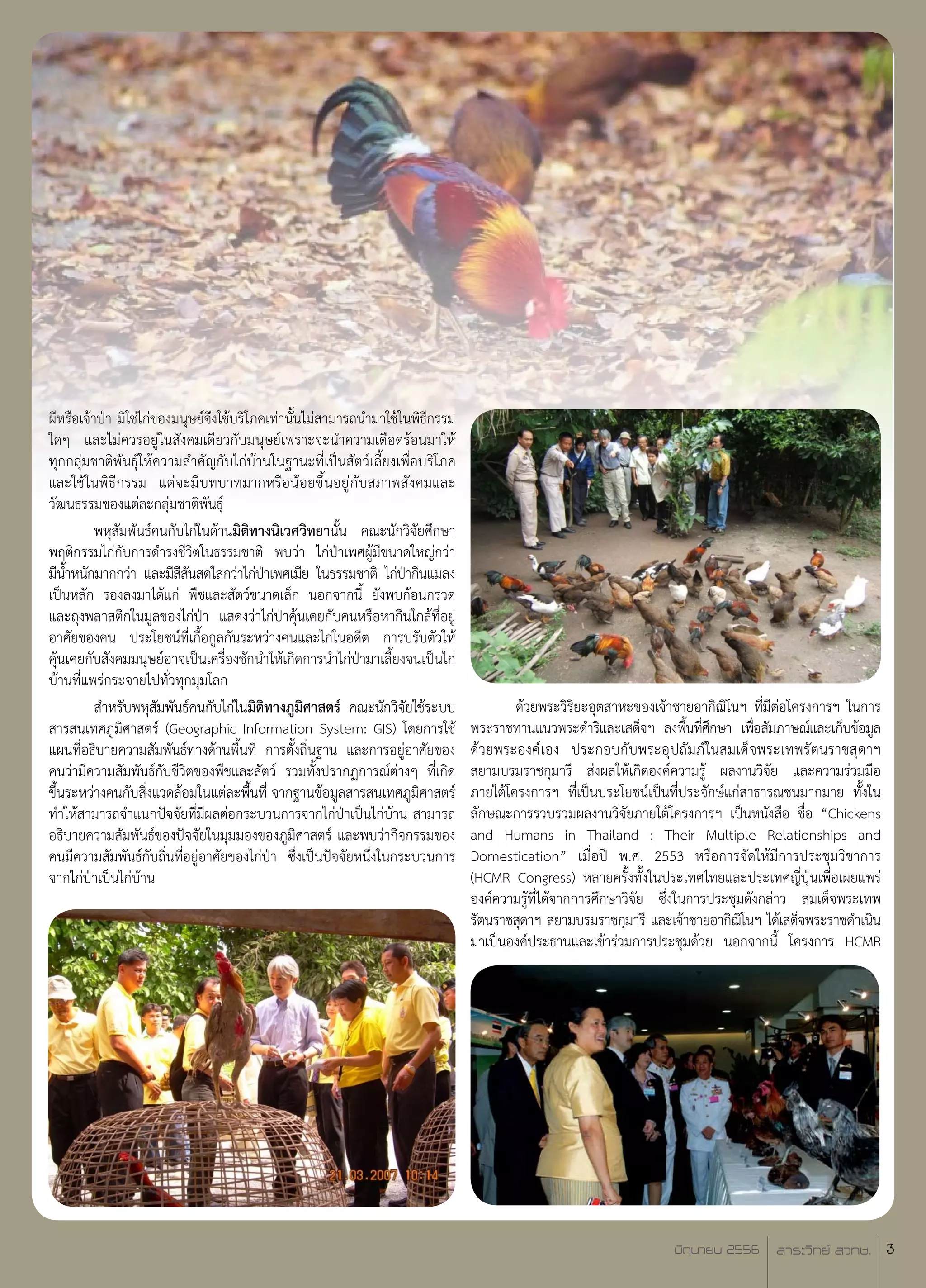 Saravit eMagazine 3/2556 | PDF