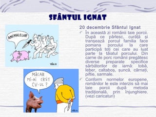 Sarbatorile de iarna la romani | PPT