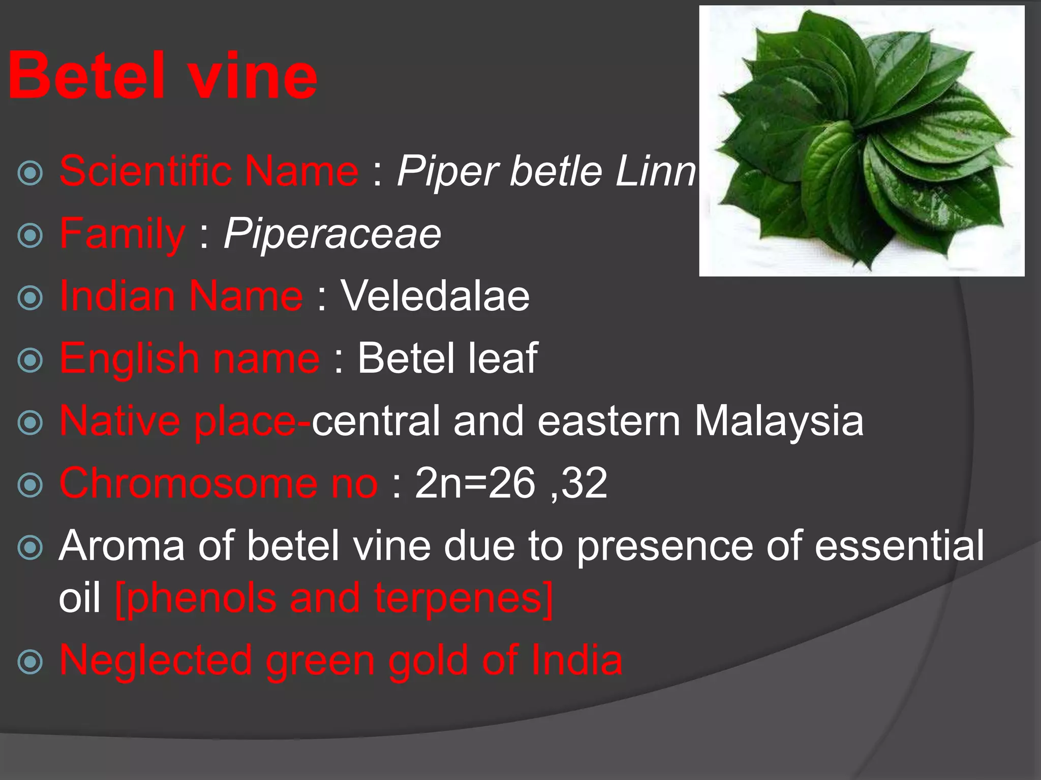 cultivation of betel vine, production technology of vbetelvine | PPTX