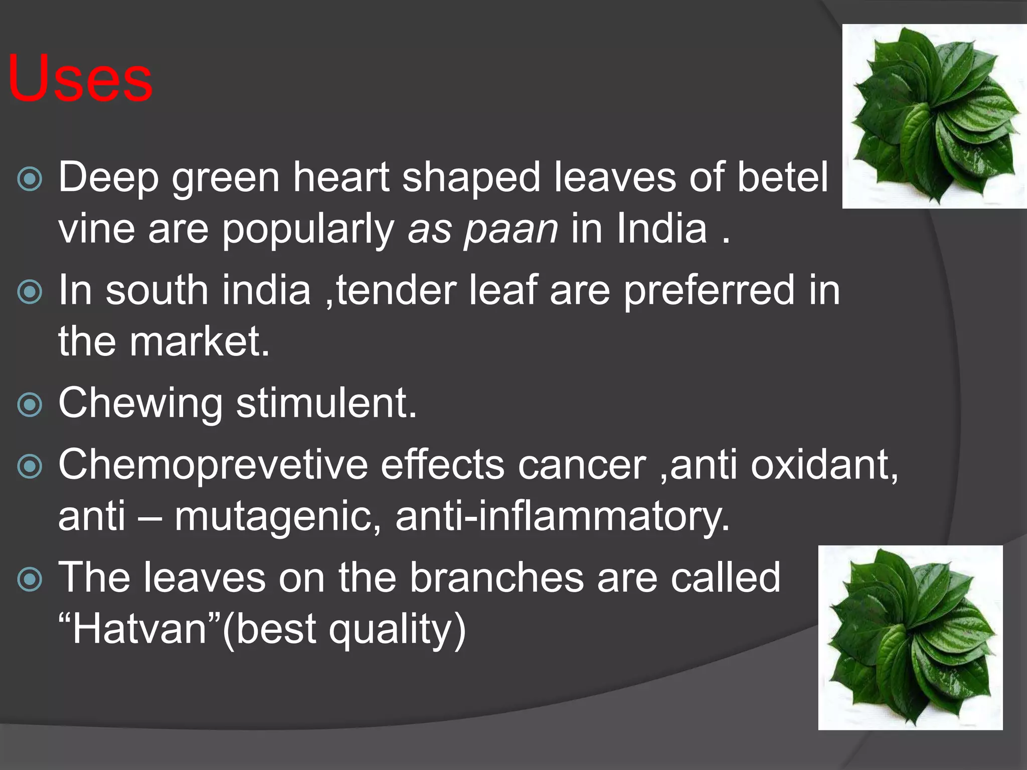cultivation of betel vine, production technology of vbetelvine | PPTX