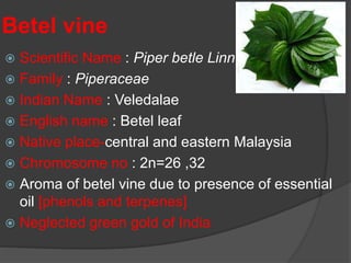 cultivation of betel vine, production technology of vbetelvine | PPTX