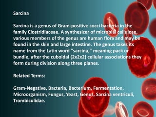 SARCINA- MA'AM MONILYN.pptx