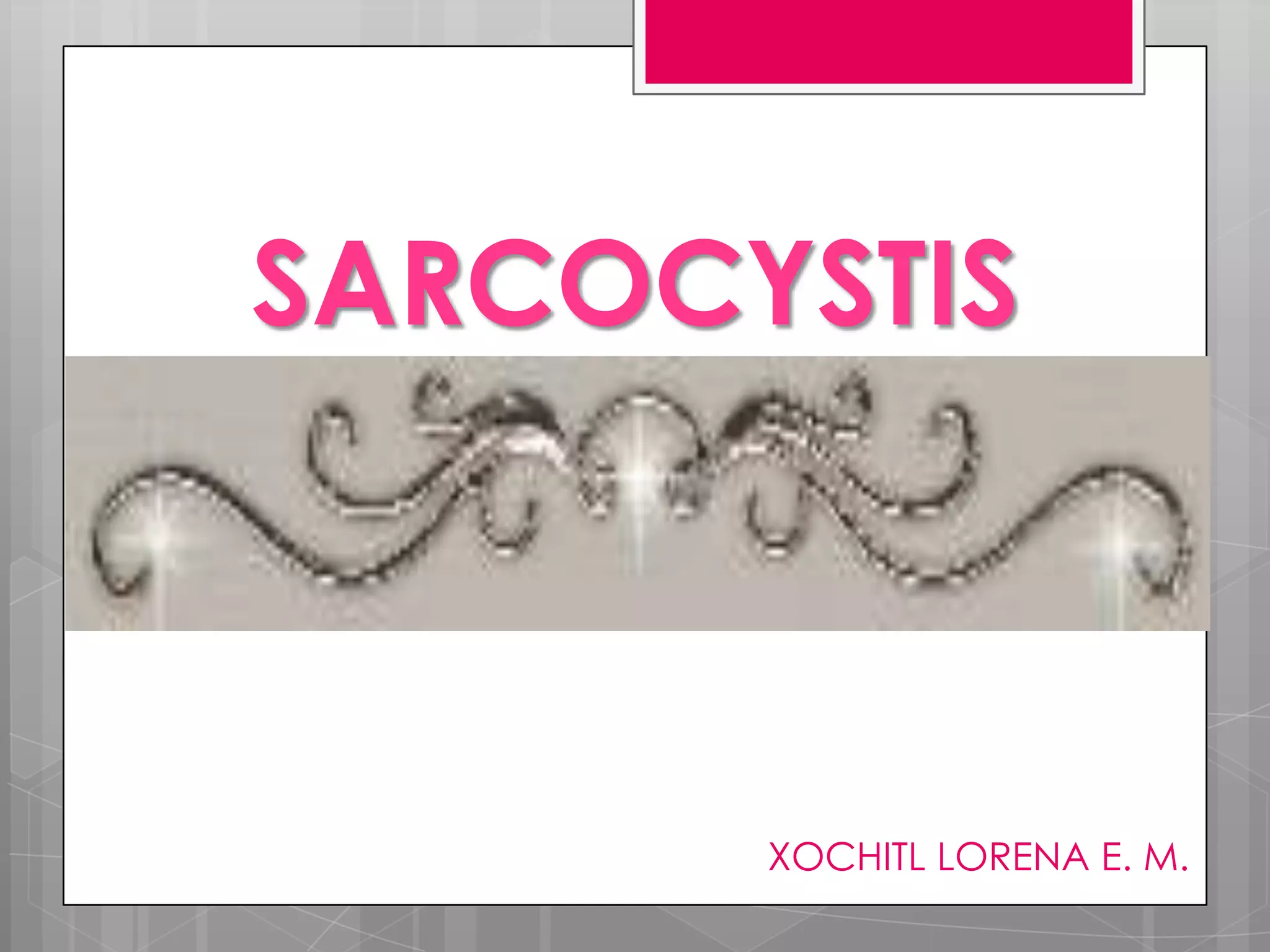 Sarcocystis | PPTX