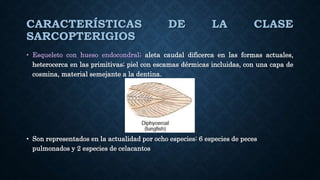 Sarcopterigios | PPTX