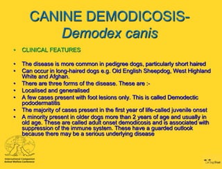 ICAWC 2013 - Sarcoptic and Demodectic Mange - David Grant | PDF