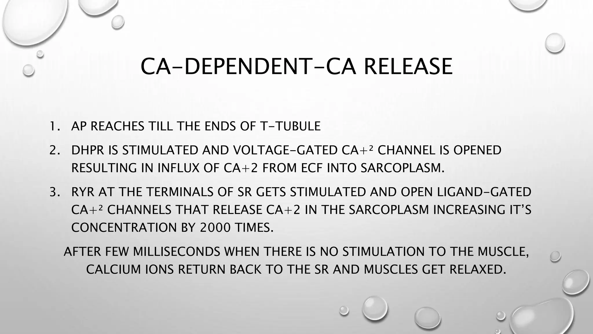 Sarcotubular System... presentation on.. | PPTX