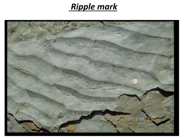 Primary Sedimentary Structures | PPTX