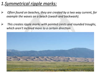 Primary Sedimentary Structures | PPTX