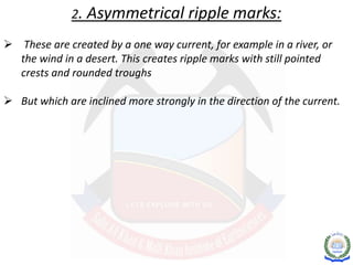 Primary Sedimentary Structures | PPTX