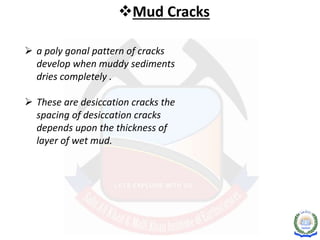 Primary Sedimentary Structures | PPTX