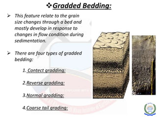 Primary Sedimentary Structures | PPTX