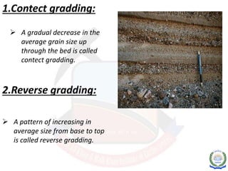 Primary Sedimentary Structures | PPTX