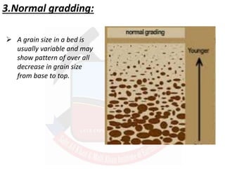 Primary Sedimentary Structures | PPTX