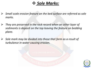 Primary Sedimentary Structures | PPTX