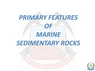 Primary Sedimentary Structures | PPTX