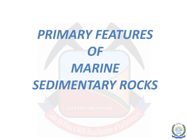 Primary Sedimentary Structures | PPTX