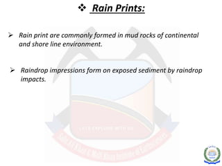 Primary Sedimentary Structures | PPTX