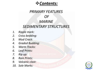 Primary Sedimentary Structures | PPTX