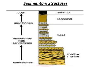 Primary Sedimentary Structures | PPTX