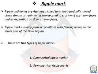 Primary Sedimentary Structures | PPTX