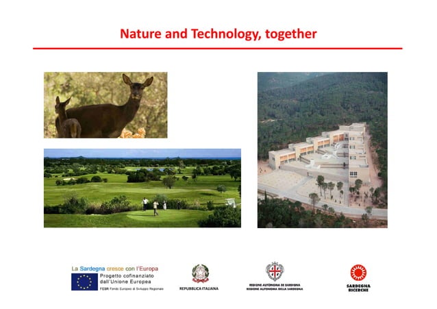 Sardegna Ricerche - Luca Contini | PPT