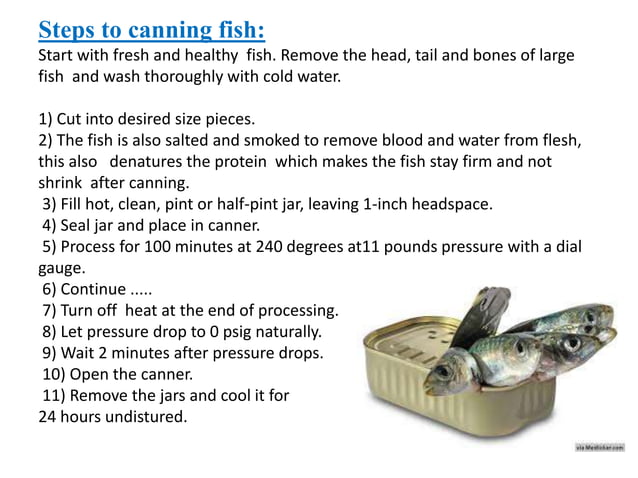 Sardine Canning Fish_zia_pau | PPTX