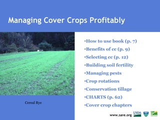 SARE Cover Crops Powerpoint | PPT