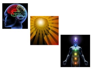 Sarette - the social animal | PPTX