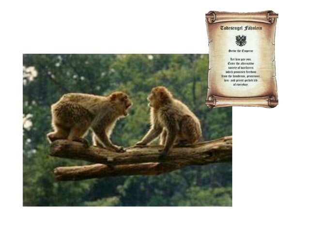 Sarette - the social animal | PPTX