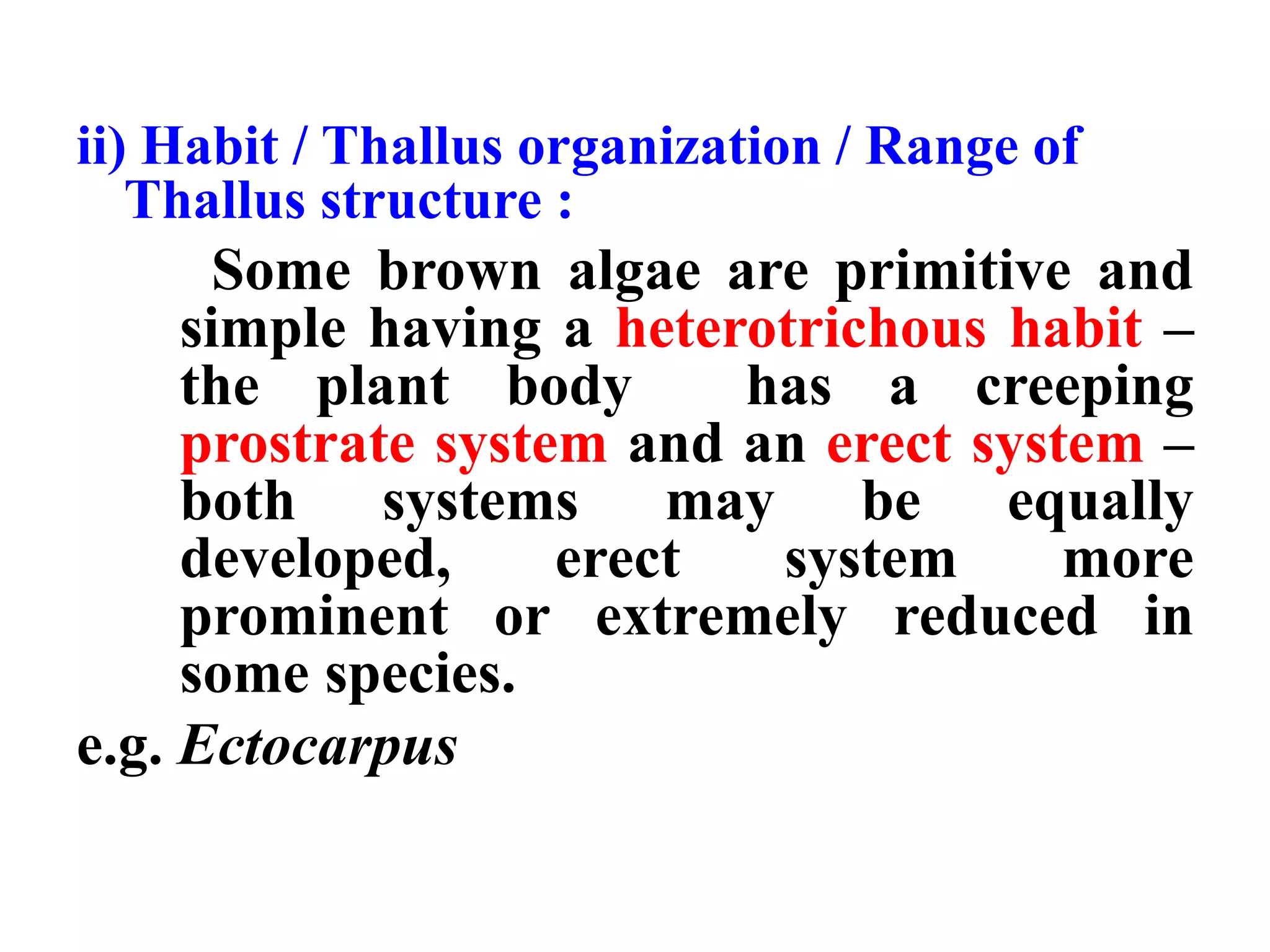 General Characters of Phaeophyceae & Life Cycle of Sargassum SMG | PPTX