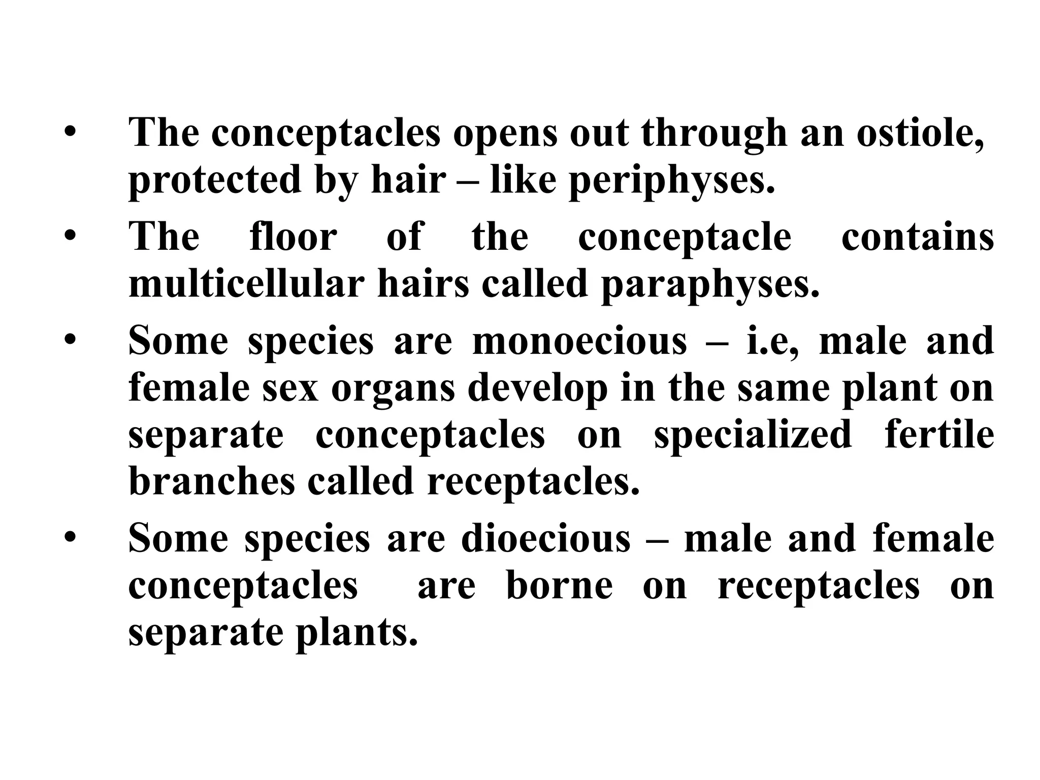 General Characters of Phaeophyceae & Life Cycle of Sargassum SMG | PPTX