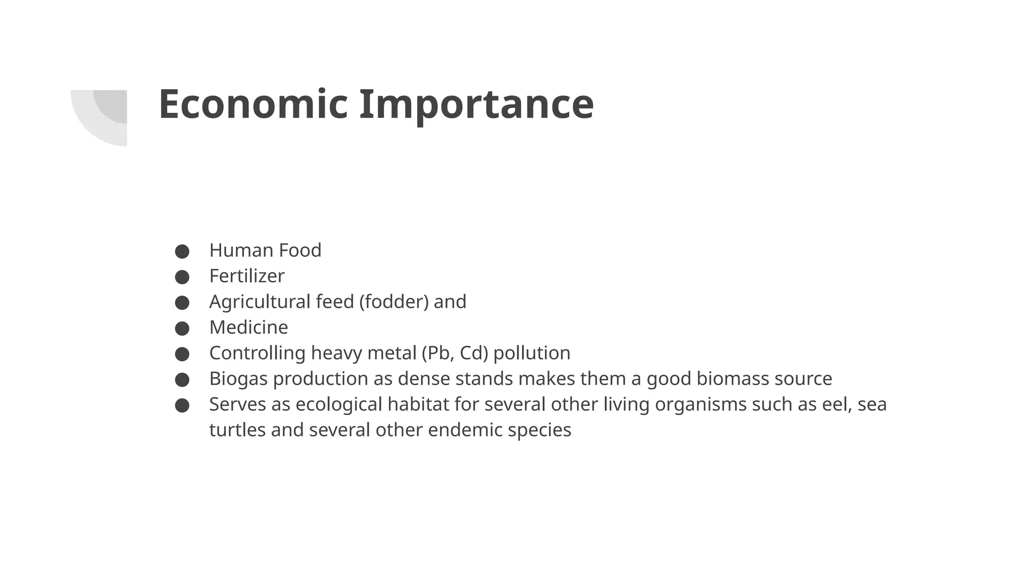 Sargassum-Morphology, Life Cycle and Significance | PPTX