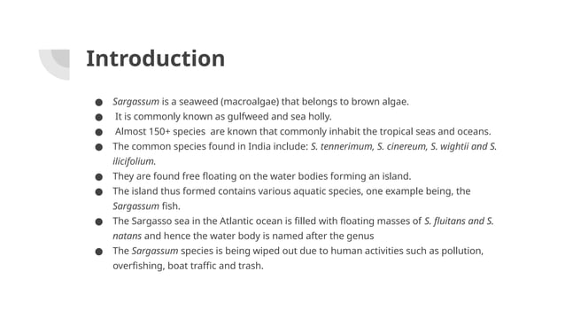 Sargassum-Morphology, Life Cycle and Significance | PPTX