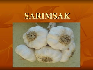 Sarimsak | PPT