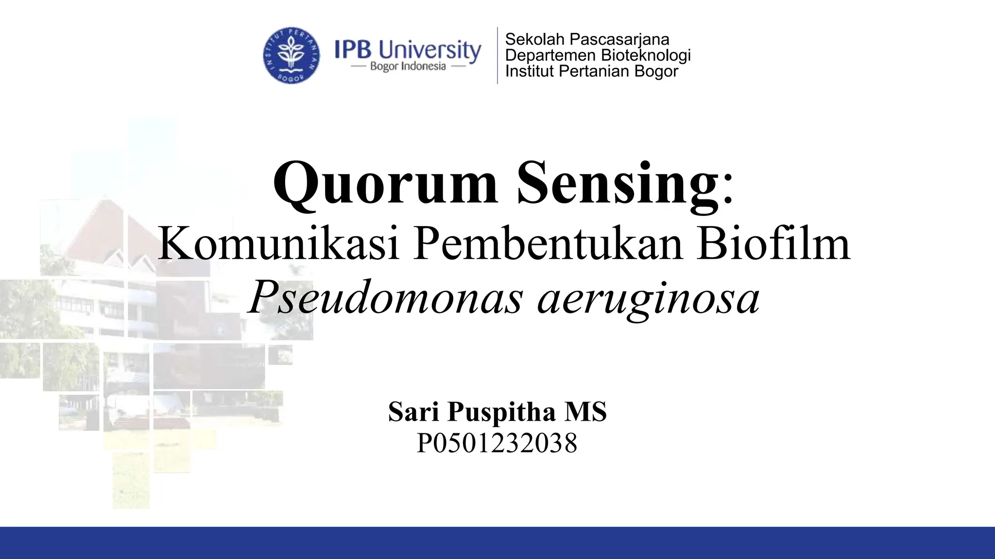 Quorum sensing Bakteri pembentukan biofilm pada bakteri gram positif | PPT