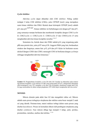 Sari pustaka siklus sel | PDF