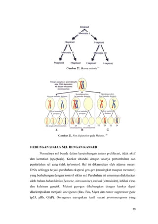Sari pustaka siklus sel | PDF