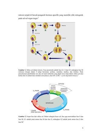 Sari pustaka siklus sel | PDF