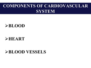 Introduction to the Human Cardiovascular System | PPT
