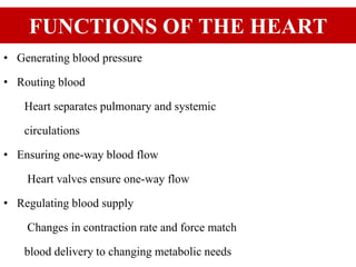 Introduction to the Human Cardiovascular System | PPT
